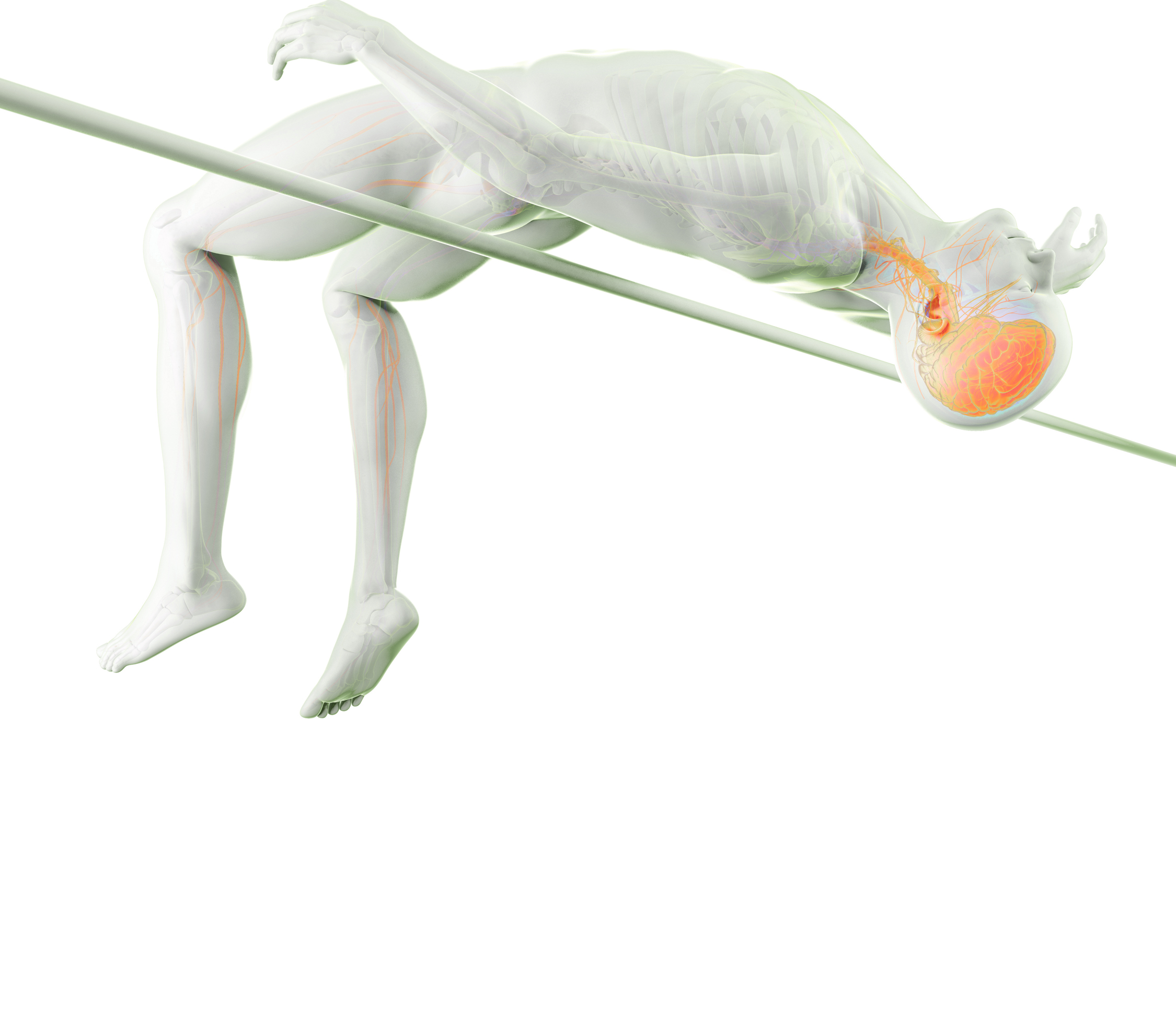 International Society of Electrophysiology and Kinesiology