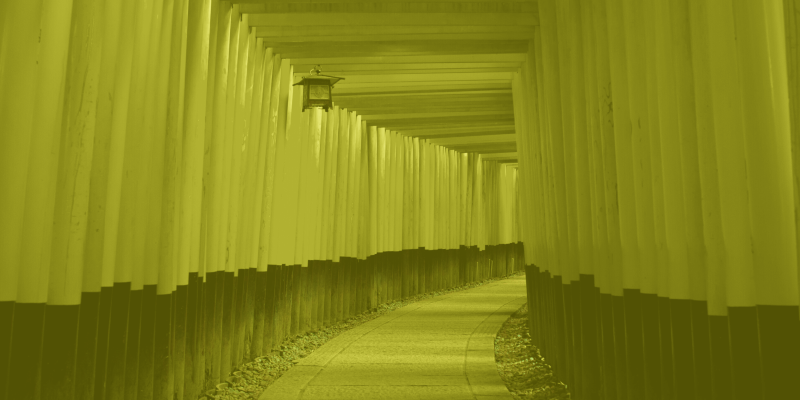 Teaching Material Library - International Society of Electrophysiology ...