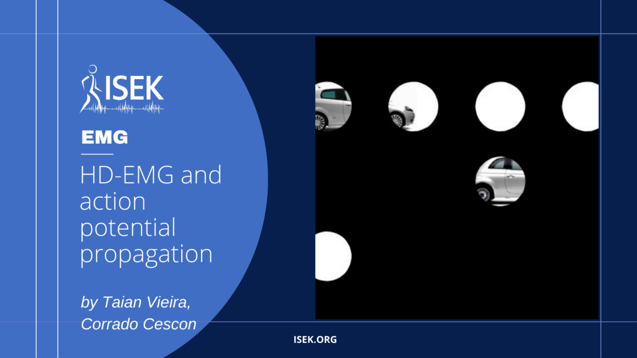 HD-EMG and action potential propagation - International Society of ...