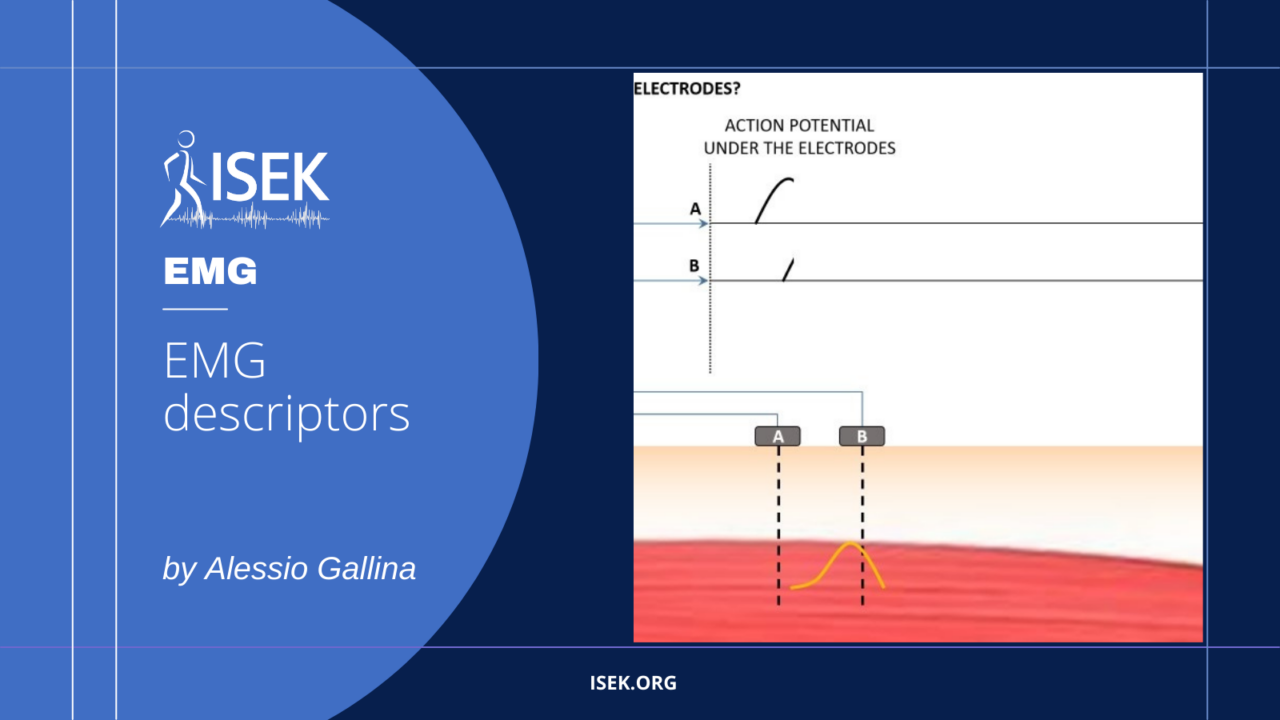 EMG descriptors - International Society of Electrophysiology and ...